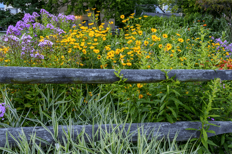 Practices and Principles of Ecological Gardening - Blog
