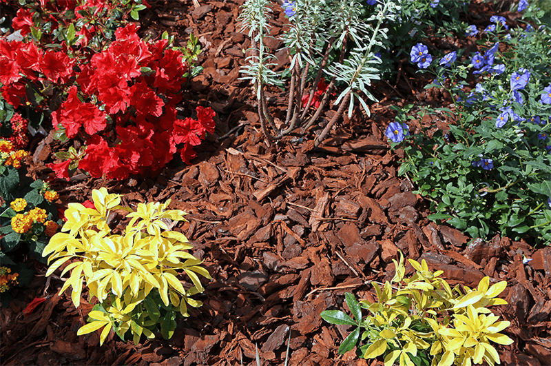 Practices and Principles of Ecological Gardening - Blog