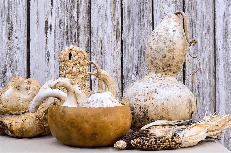 8 DIY Fall Craft Décor Ideas Featuring Gourds - Blog