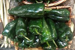 Hot Pepper, Poblano Pepper, Ancho Pepper - Our Plants - Kaw Valley ...