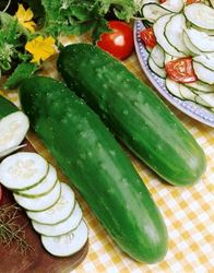 Cucumber - Our Plants - Kaw Valley Greenhouses