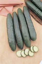 Cucumber - Our Plants - Kaw Valley Greenhouses