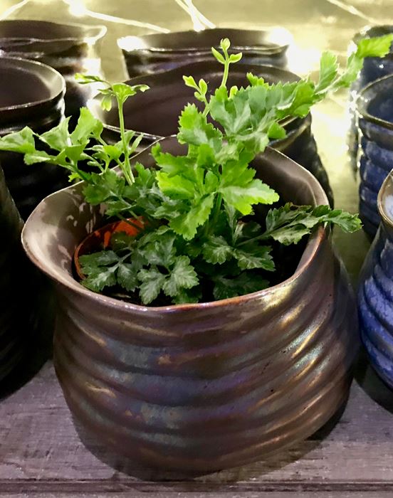 Rustic Indoor Planter - Pottery & Decor - Kaw Valley Greenhouses