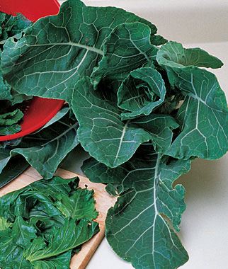 Collards, Greens - Our Plants - Kaw Valley Greenhouses