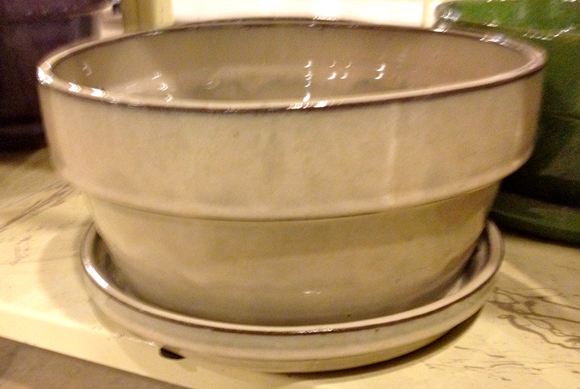 Low Flower Pot, 8" - Pottery & Decor - Kaw Valley Greenhouses